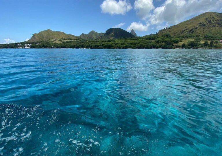 10 Hal Indah Yang Ada Apa di Pulau Mules NTT – tripflores.com