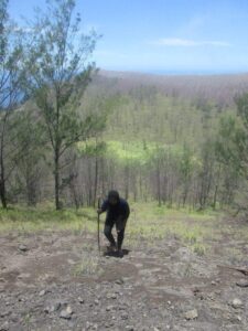 Pendakian Gunung Iya, Mudah dan Cocok Bagi Pemula – tripflores.com