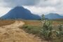 Indahnya Padang Savana Mausui Manggarai – tripflores.com