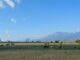 Indahnya Padang Savana Mausui Manggarai – tripflores.com
