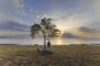 Indahnya Padang Savana Mausui Manggarai – tripflores.com