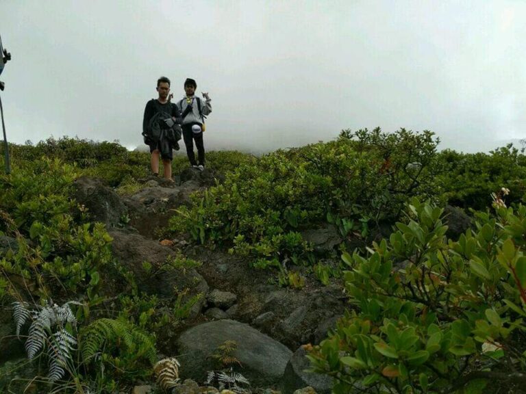 Informasi Pendakian Gunung Ebulobo – tripflores.com